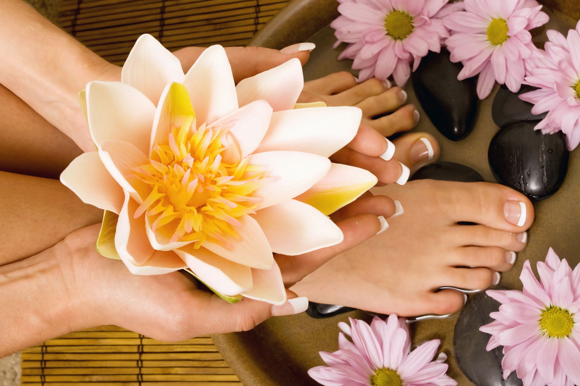 Scotton Way Nails & Spa